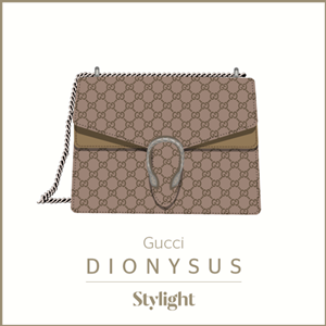 IT-Bags-wishlist-30 sacs emblemathiques -Stylight-Gucci-dionysus